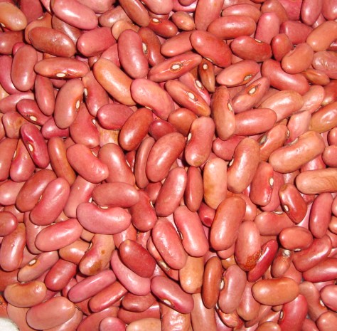 Beans Kidney Light Red