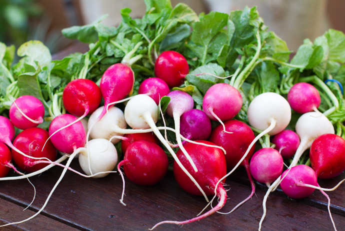 DollarSeed. Radish Easter Egg Blend
